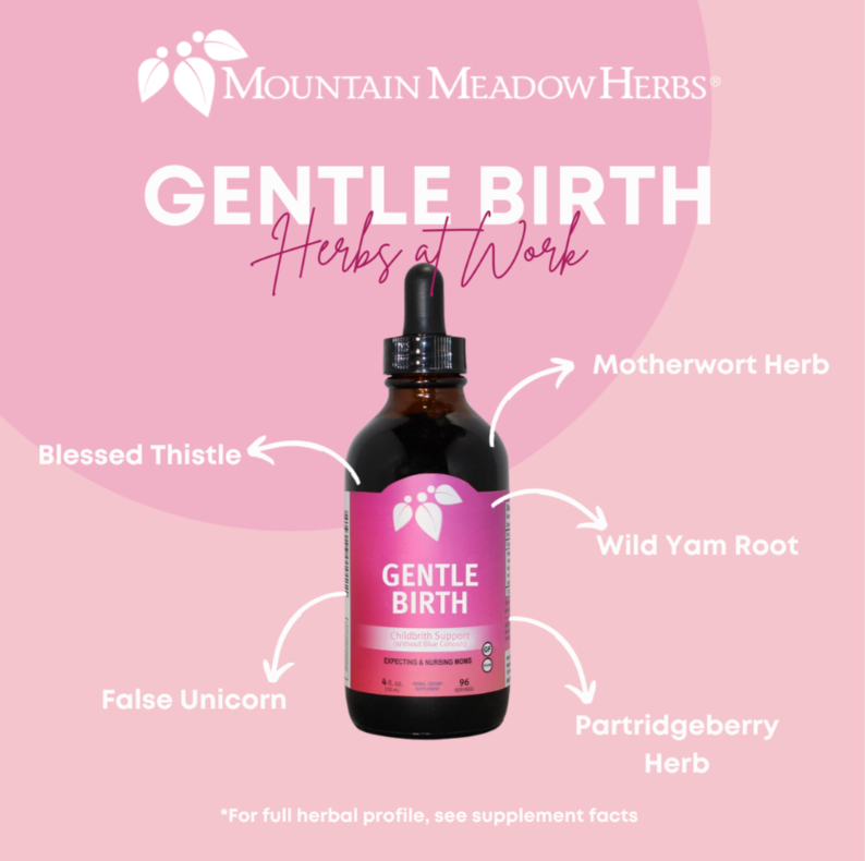 Gentle Birth – JESSEGOLDEN